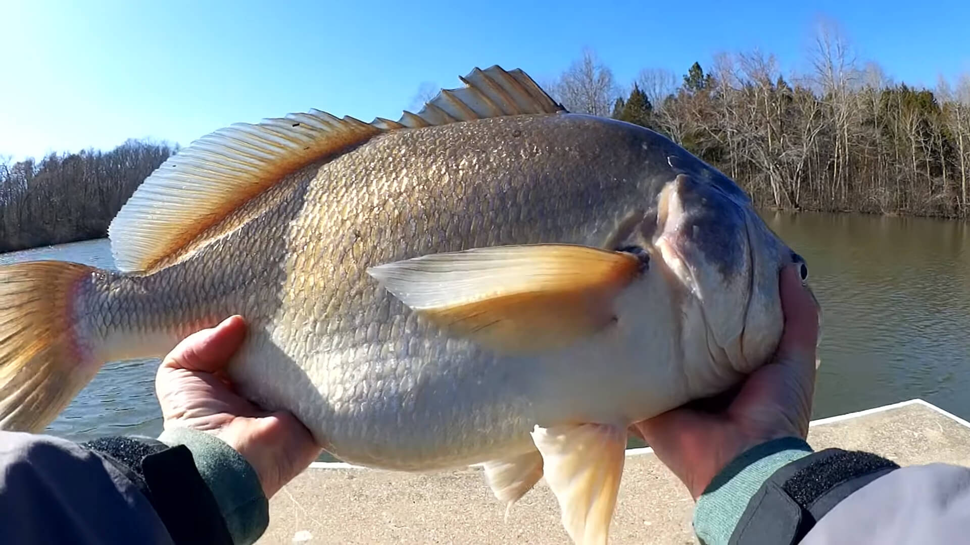 Catching The Biggest Fish Of The Year This Is My Big Fish To Beat