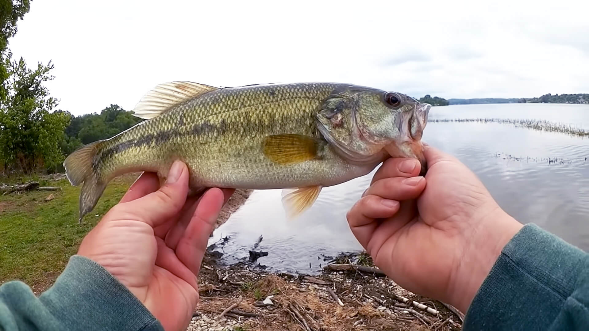 Bass Fishing with a WACKY Rig SENKO – Bank Fishing Tips - Realistic Fishing