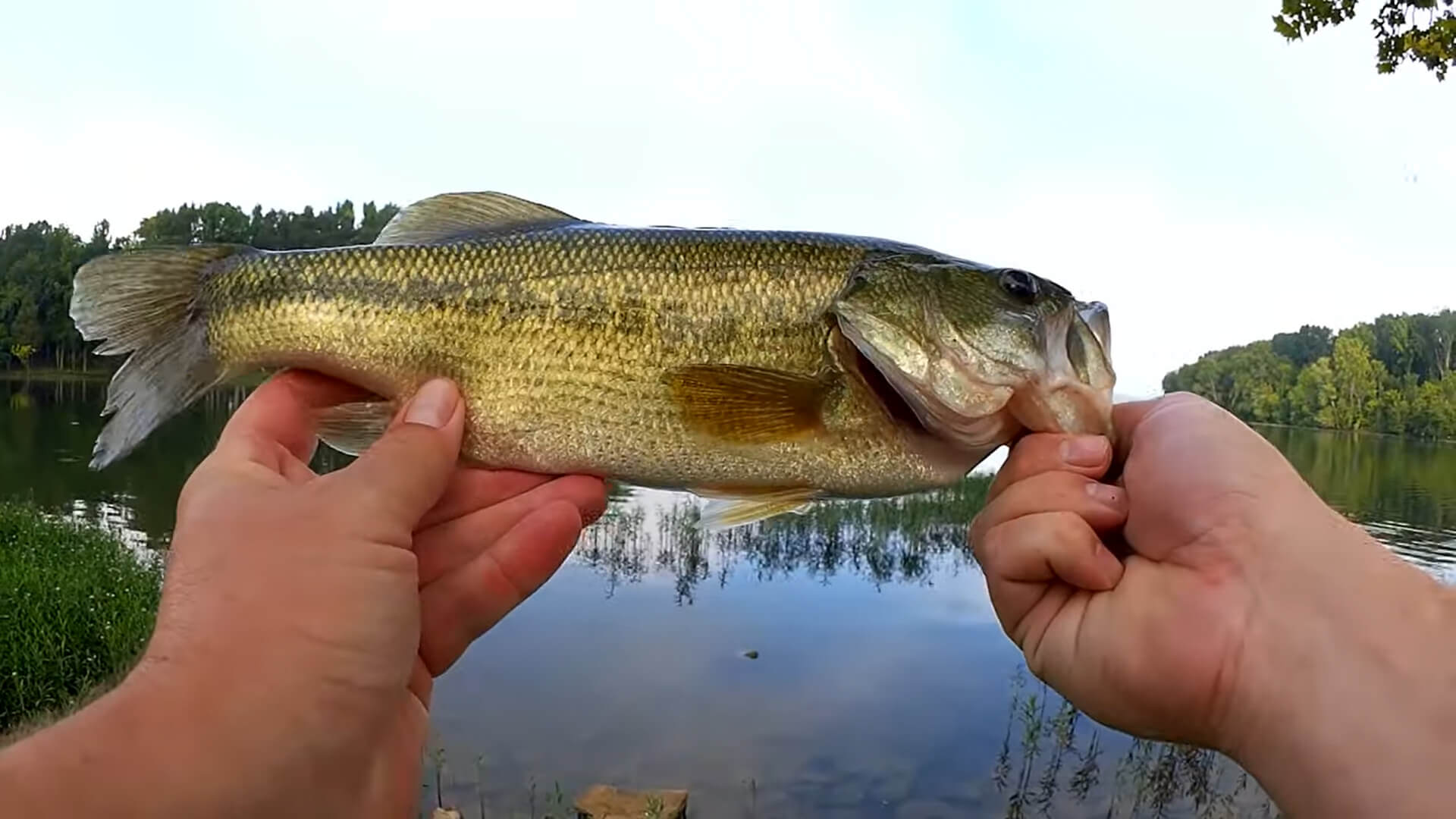 Easy Bass Fishing Rigs for Beginners - Texas Rig & Wacky Rig ...