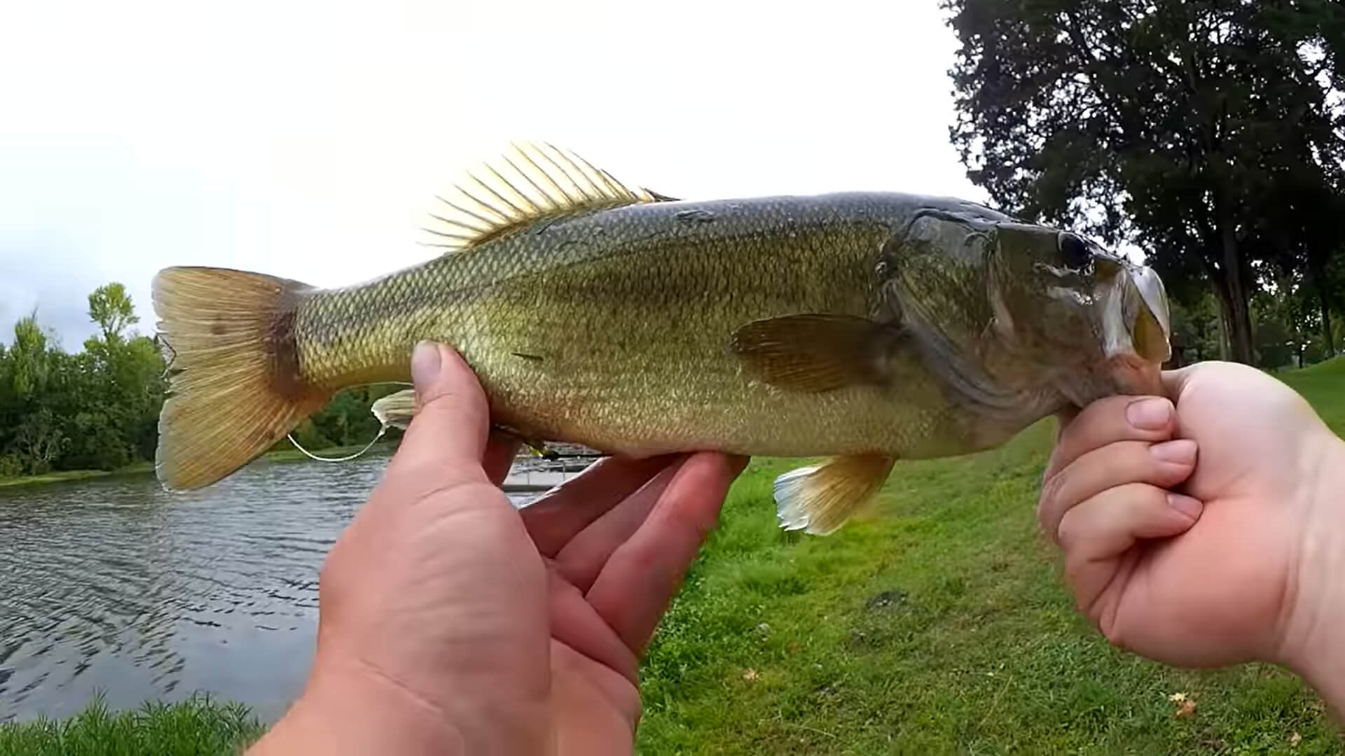 Fishing for Bass & Catfish at the Dam - Realistic Fishing