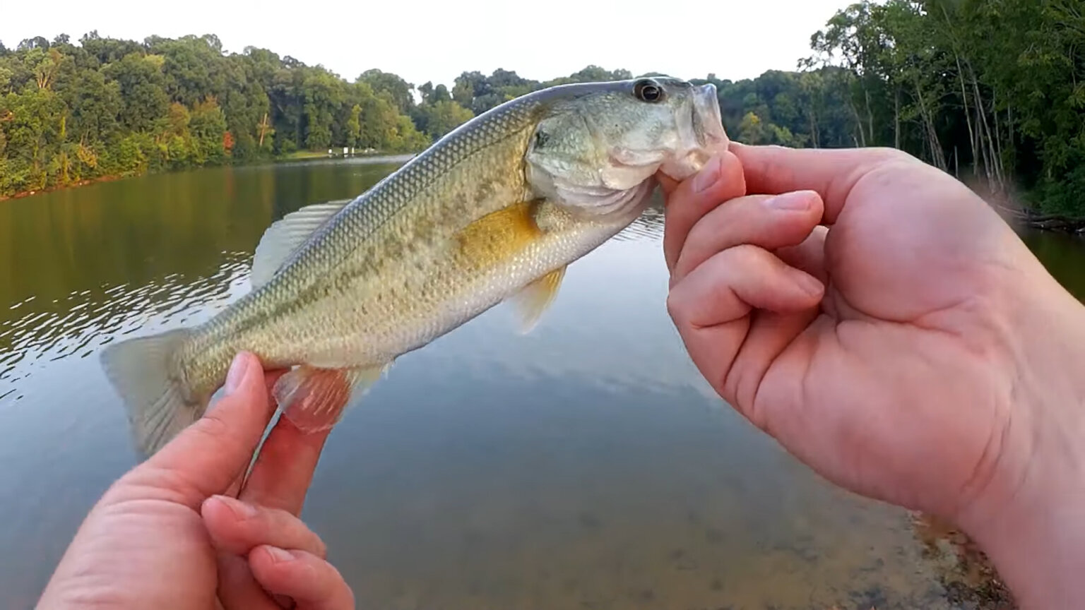 Realistic Bass Fishing with Cheap Lures from Walmart | Realistic Fishing