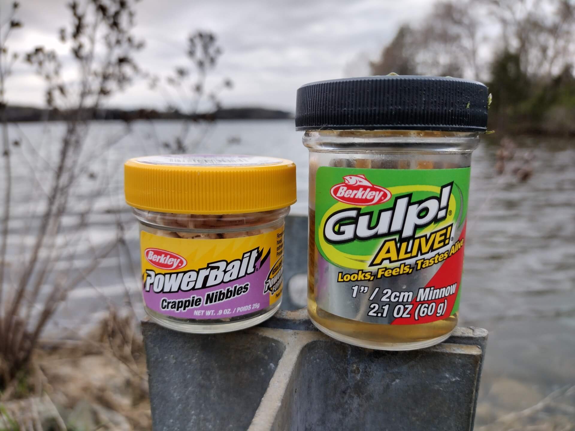 Fishing for Bass & Bluegills - Biggest Bluegill of the Year - Realistic ...