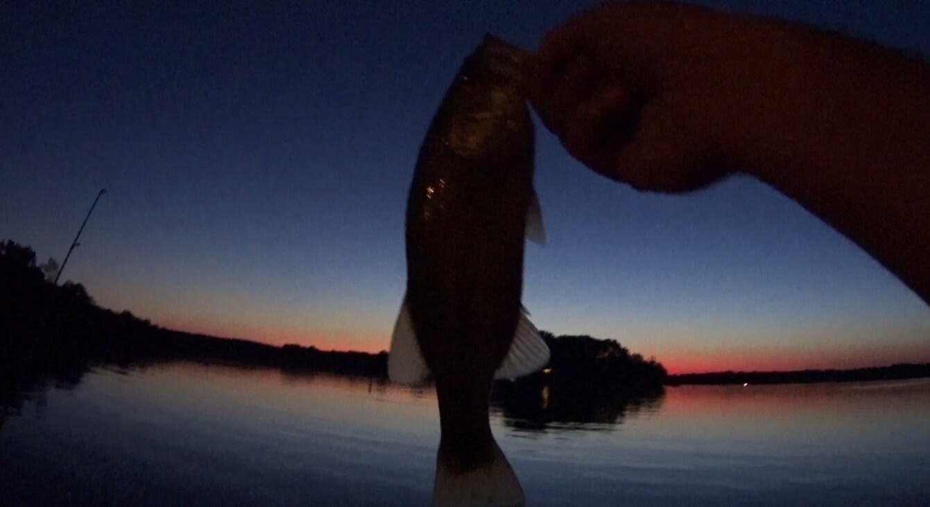 How to Catch Bass During the Hot Summer - Realistic Fishing