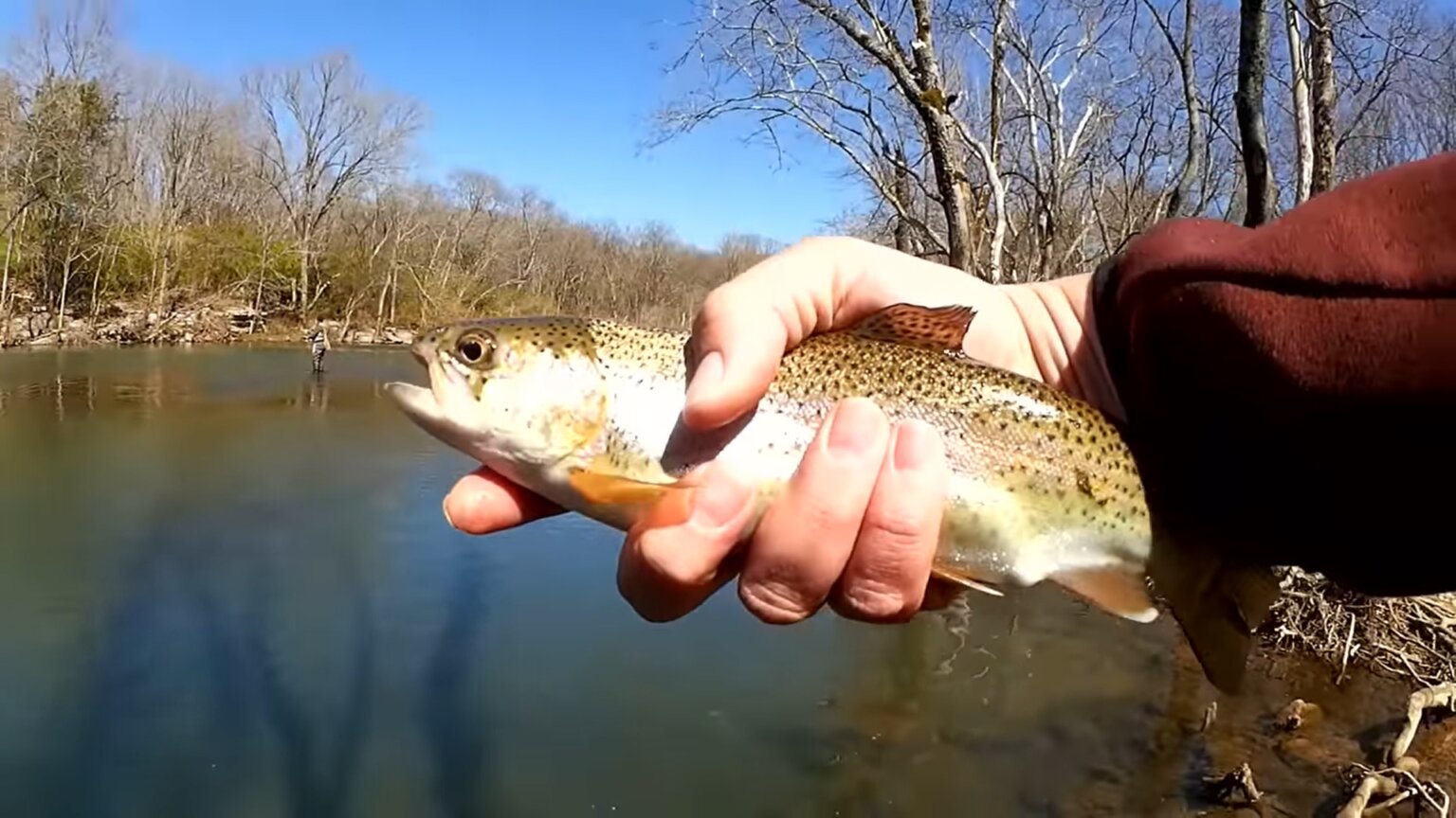 Spring Fishing for Stocked Trout - Realistic Fishing