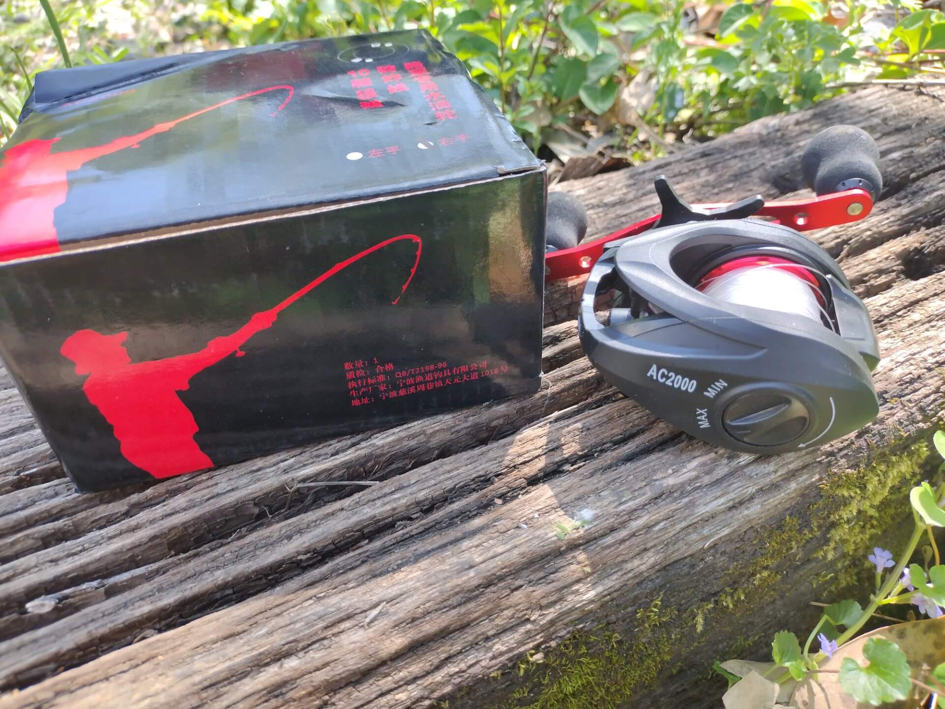 Spring Creek Fishing by a Bridge in Public Water & Battle of the Budget ...