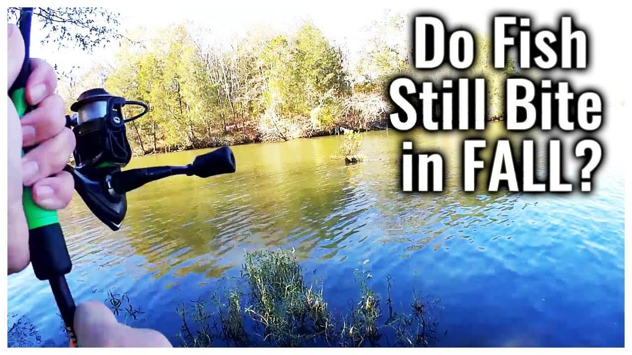 Learn to Fish | Keep It Realistic - Realistic Fishing