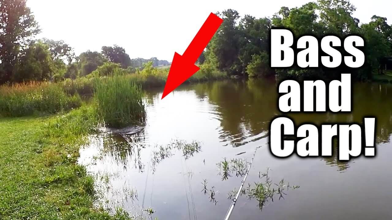 Realistic Fishing: Real Fishing Tips & Beginner Guides