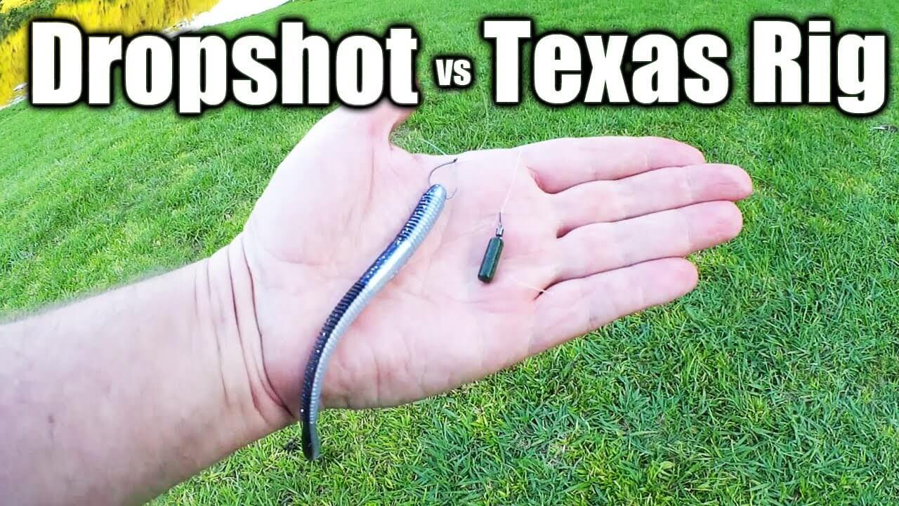 Realistic Fishing: Real Fishing Tips & Beginner Guides